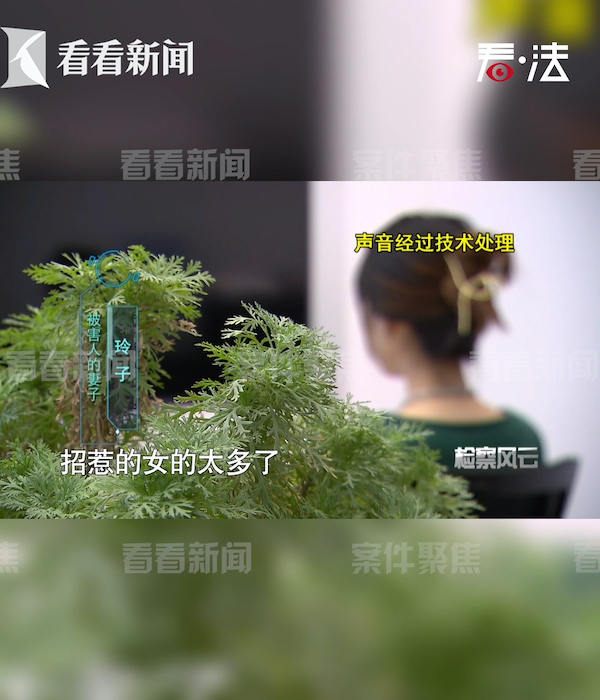 视频|男子出轨、家暴,被小姨子千里雇凶组团教训